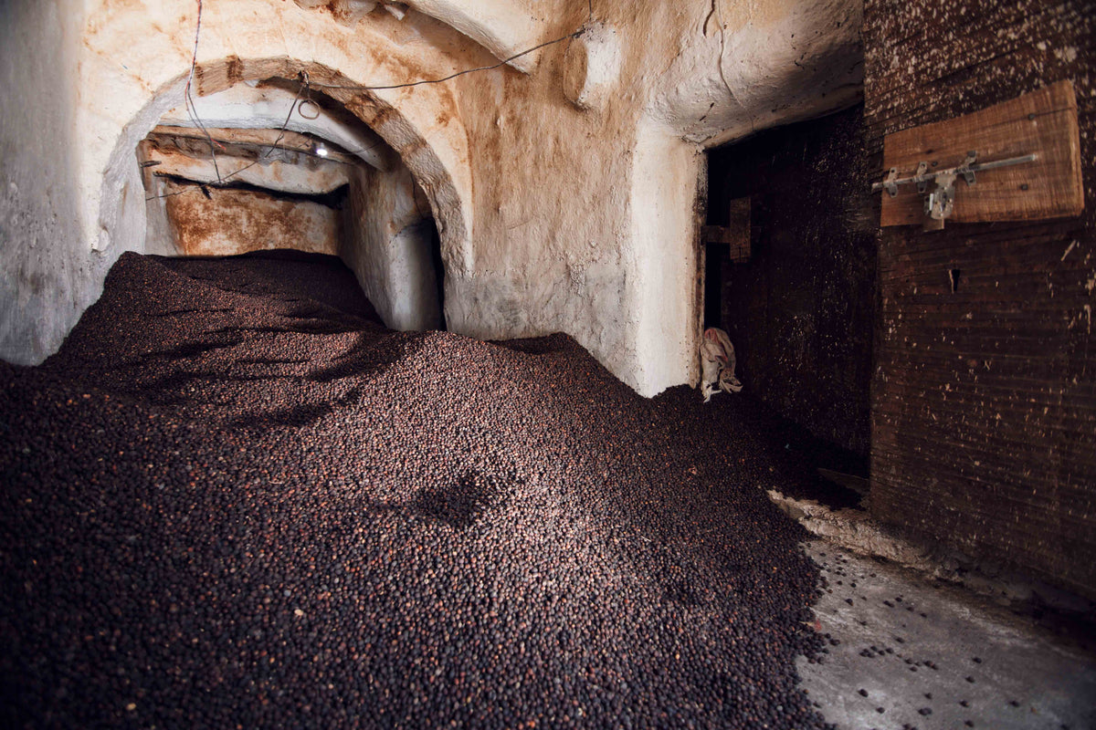 Treasure Room – Port of Mokha