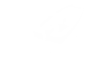 Port of Mokha - world's highest rated coffee from Yemen